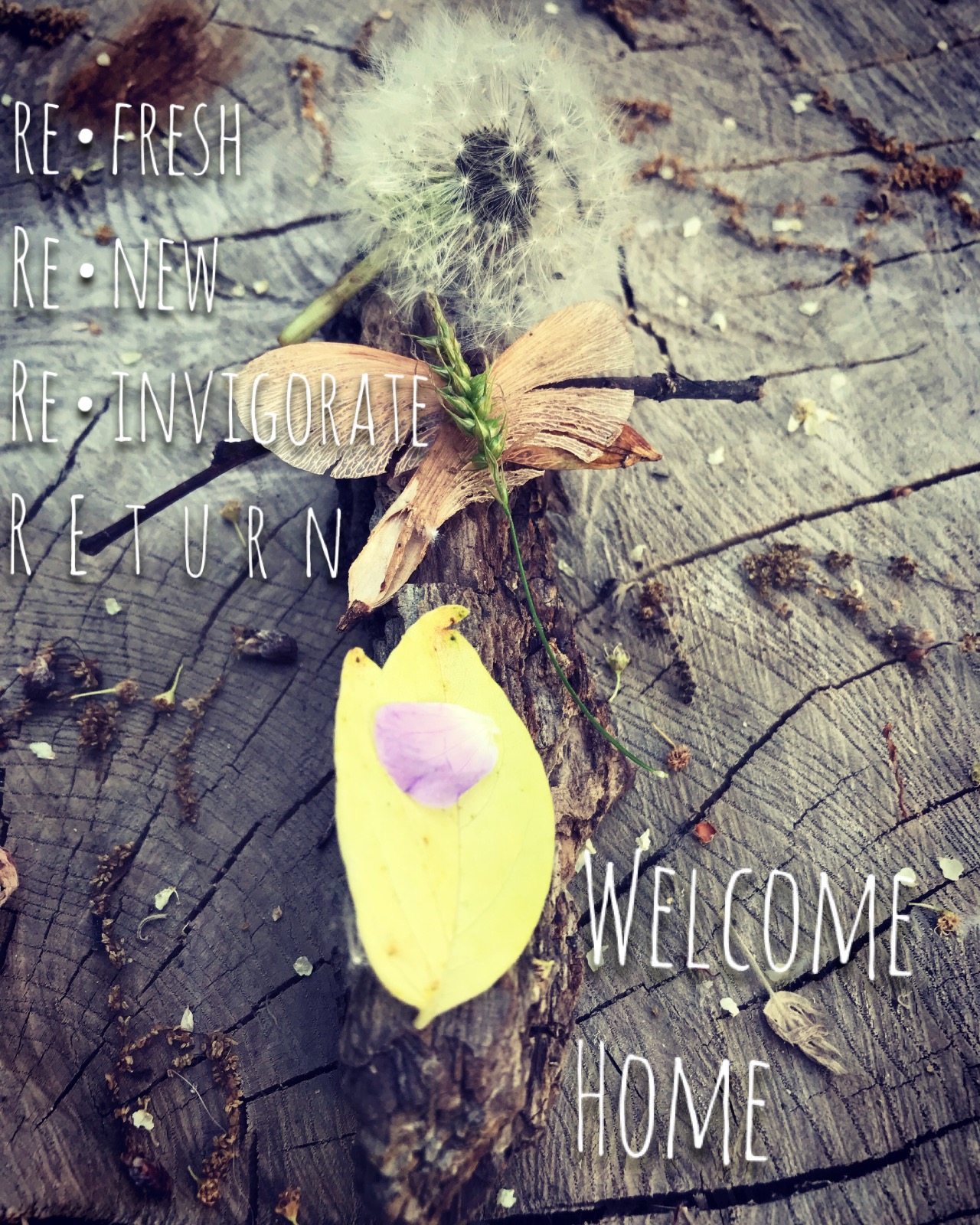 Biophilia hypothesis: an evolved positive emotional response to nature ...